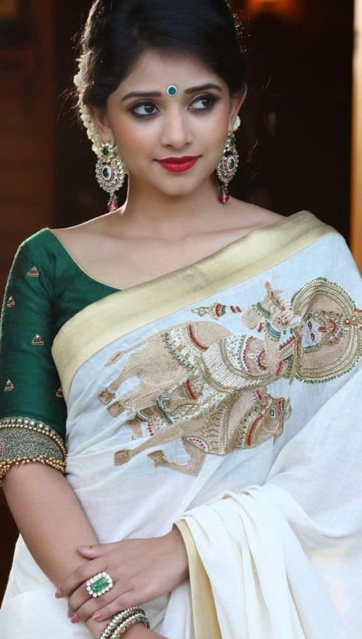 How to Choose the Perfect Border Blouse Design for Any Saree - Blouse ...